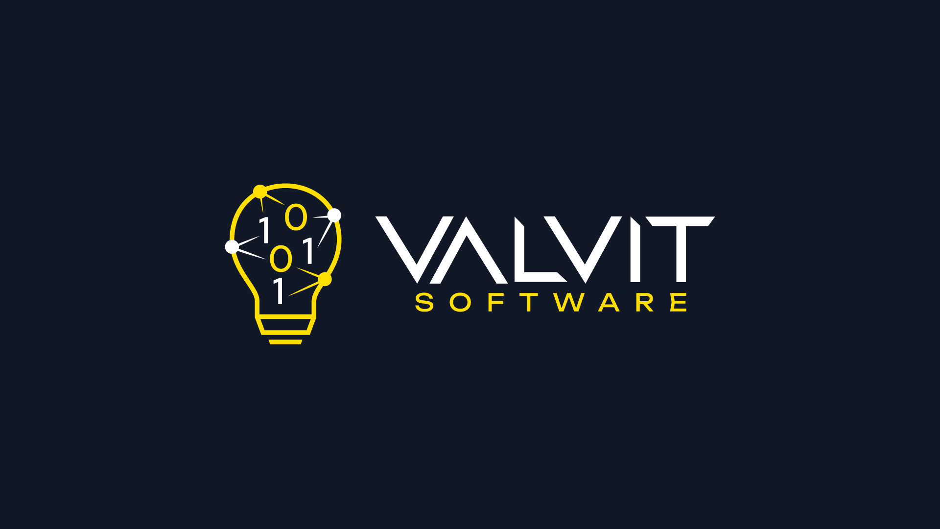 Valvit: Creating Custom Web Solutions for Businesses & Startups